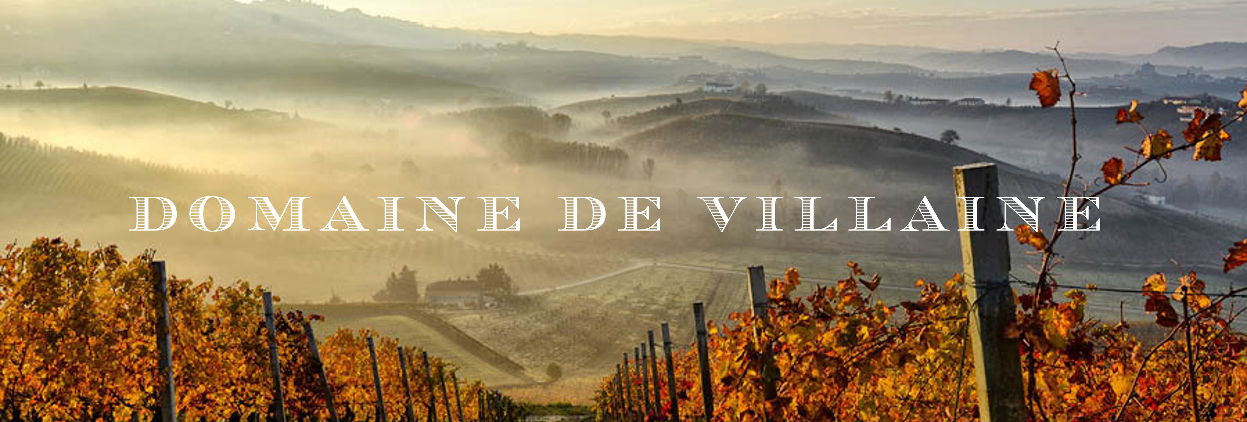 Domaine de Villaine – KB Vin