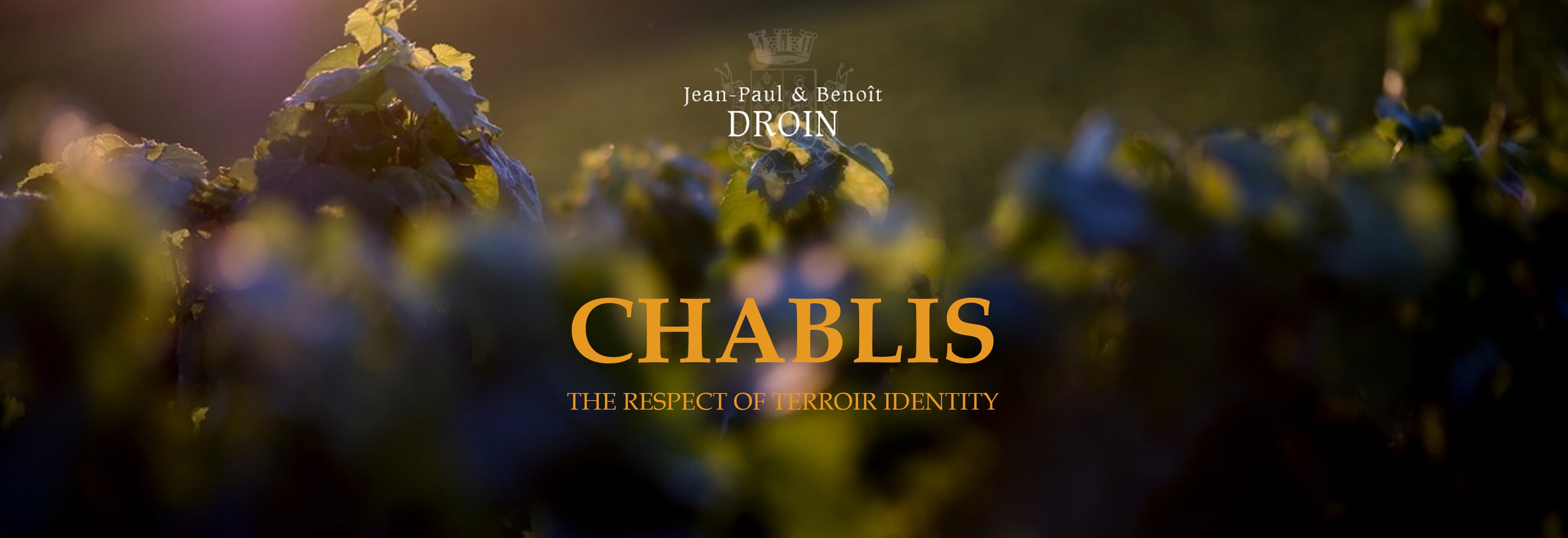 Domaine Jean Paul & Benoit Droin – KB Vin